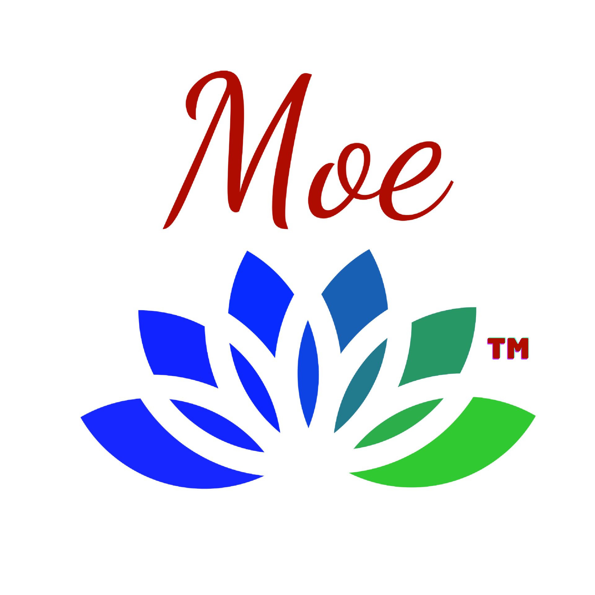Moe: Introducing Burmese/Myanmar Cuisine to the World